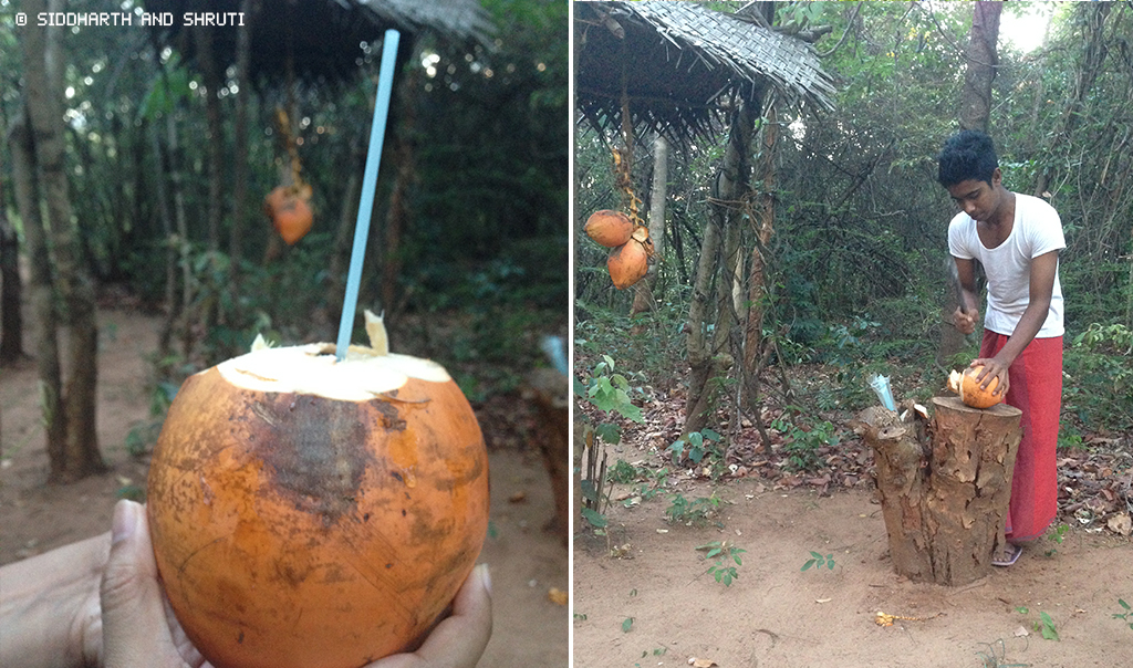 Mahagedara Retreat – Restore, Renew, Energize – Siddharth and Shruti