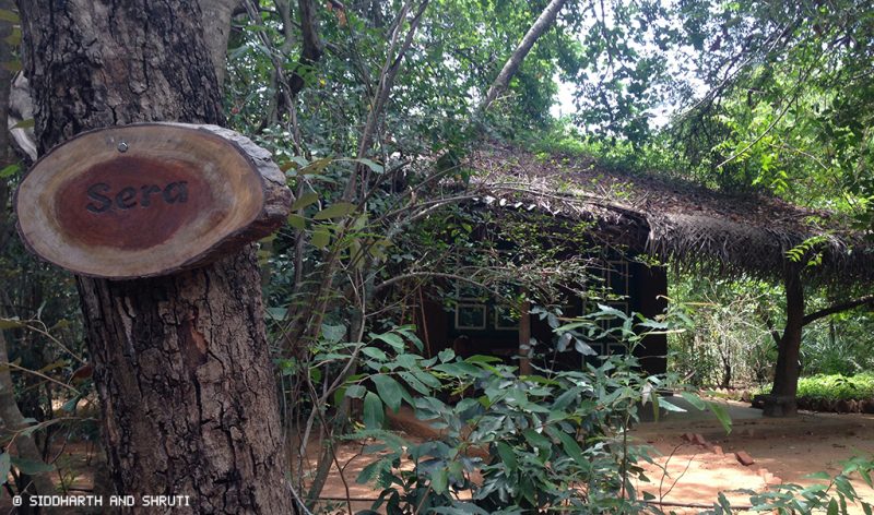 Mahagedara Retreat – Restore, Renew, Energize – Siddharth and Shruti
