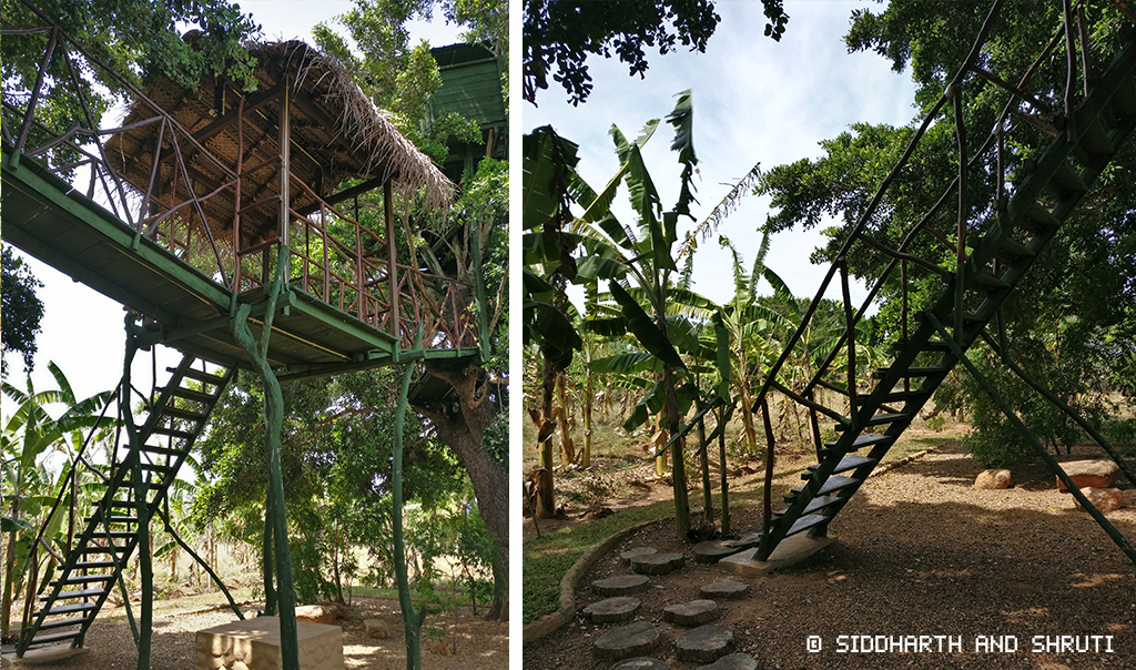 Yala Luxury Treehouse – Siddharth and Shruti