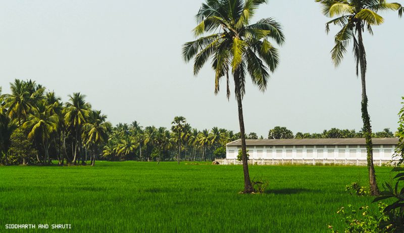 Dindi – Southeast India’s Secret Backwaters – Siddharth and Shruti