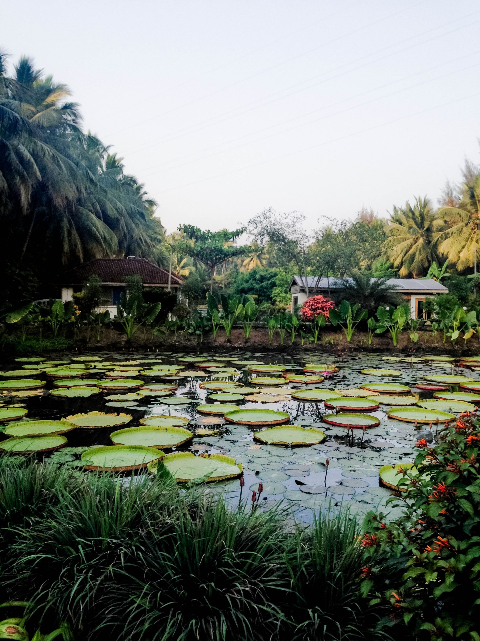 Dindi – Southeast India’s Secret Backwaters – Siddharth and Shruti