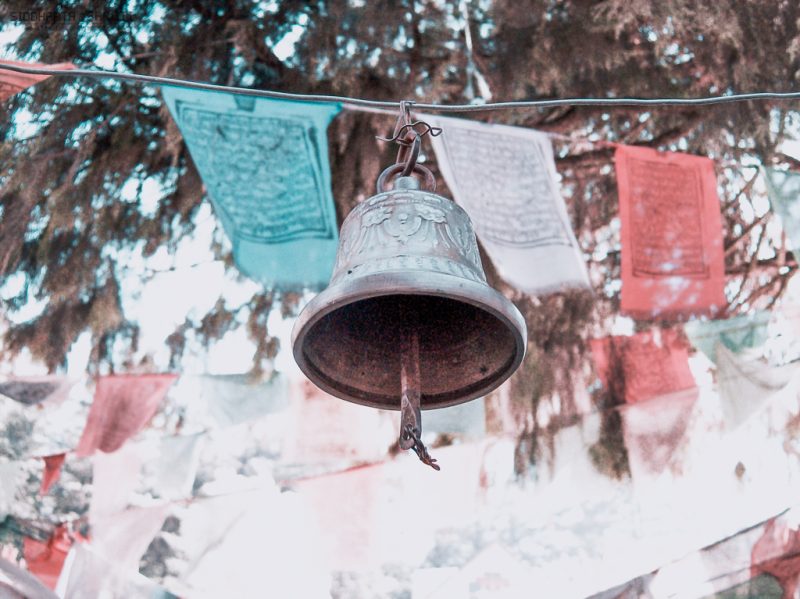 Gadhan Thekchhokling Gompa Monastery in Manali – Siddharth and Shruti